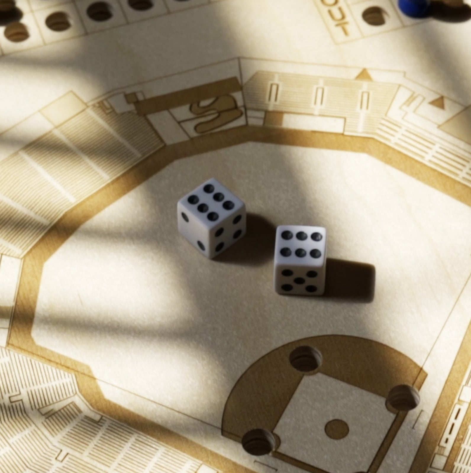 Search Shop About Blog